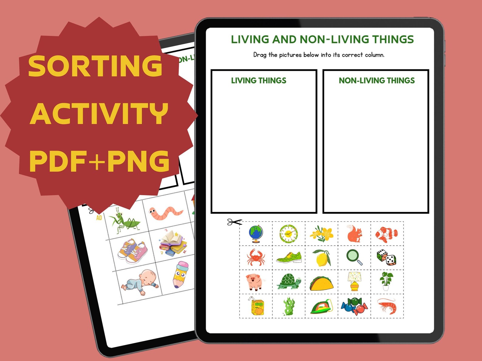 Living Things and Non-living Sort Printable, Sorting Things Activity ...