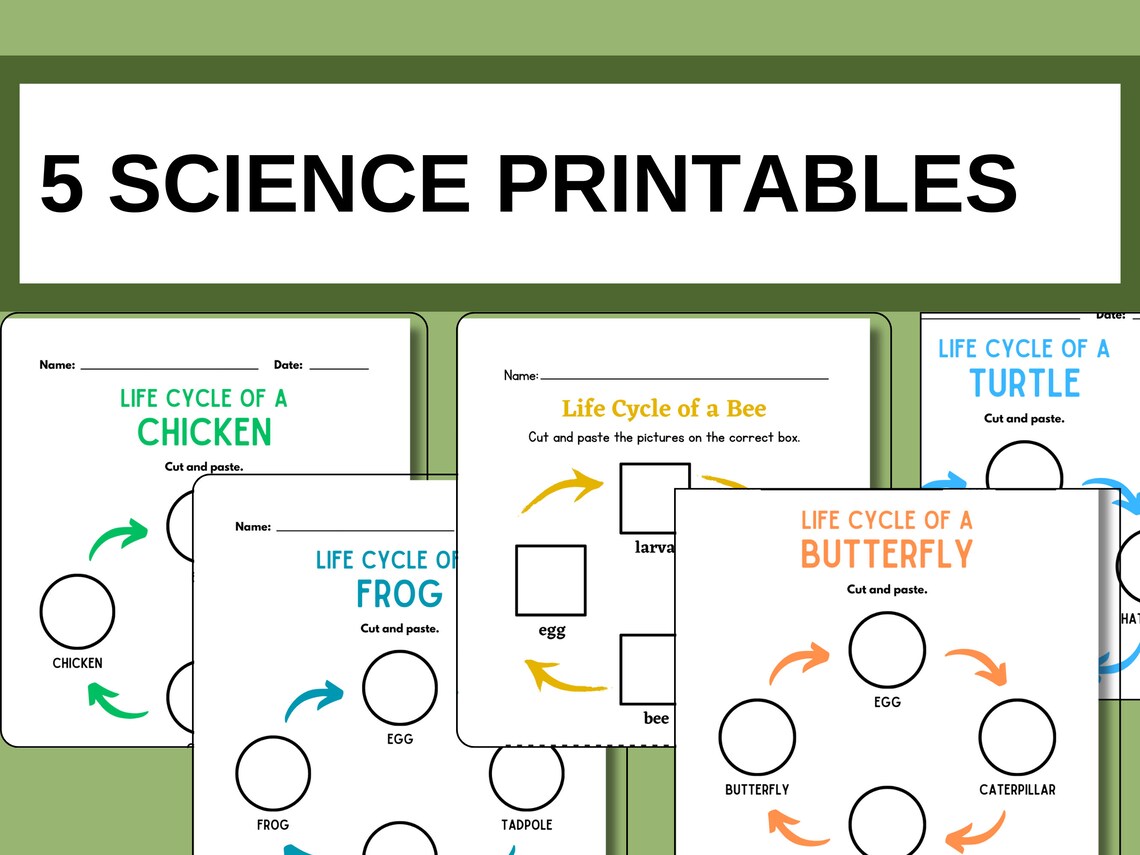 Science Worksheets for Kindergarten,science Worksheets for Primary and ...