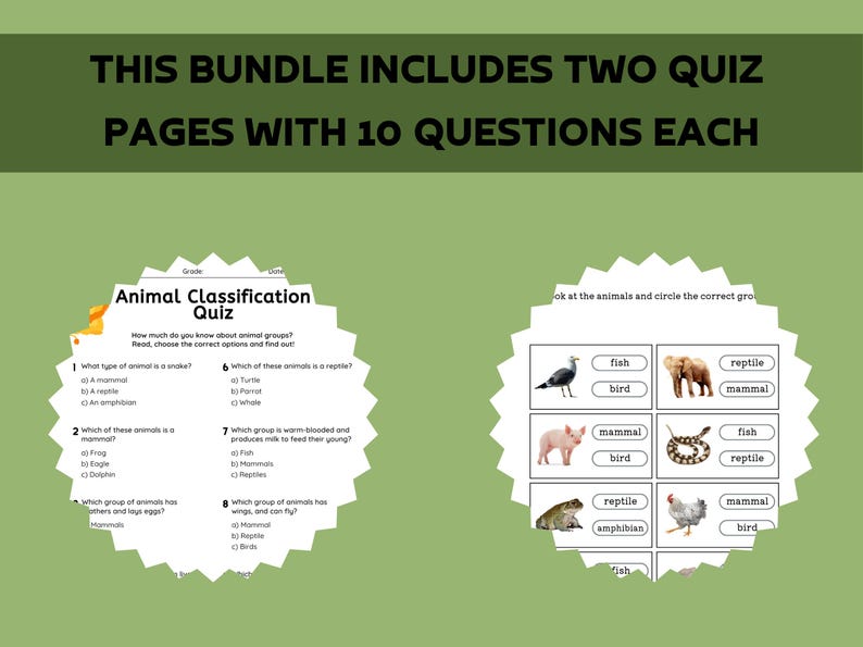 Science Worksheets for Kindergarten, Science Worksheets for Primary and ...