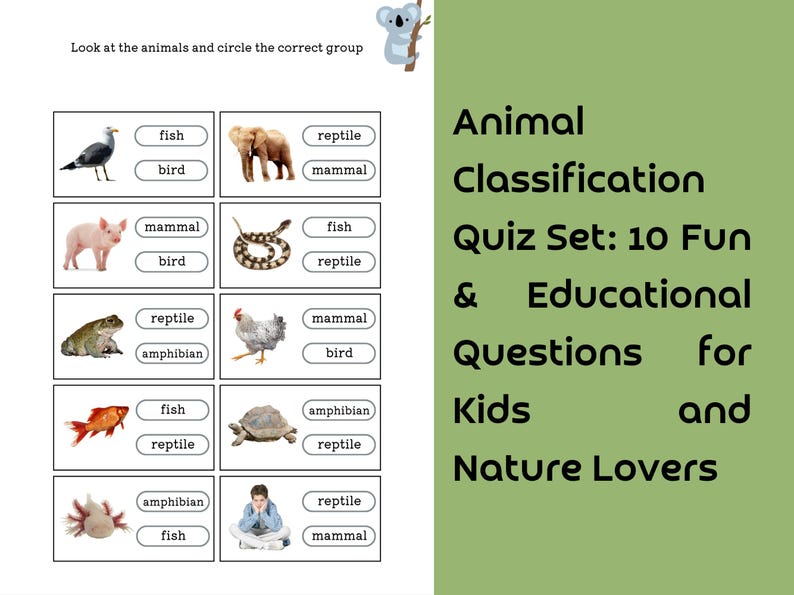 Science Worksheets for Kindergarten, Science Worksheets for Primary and ...