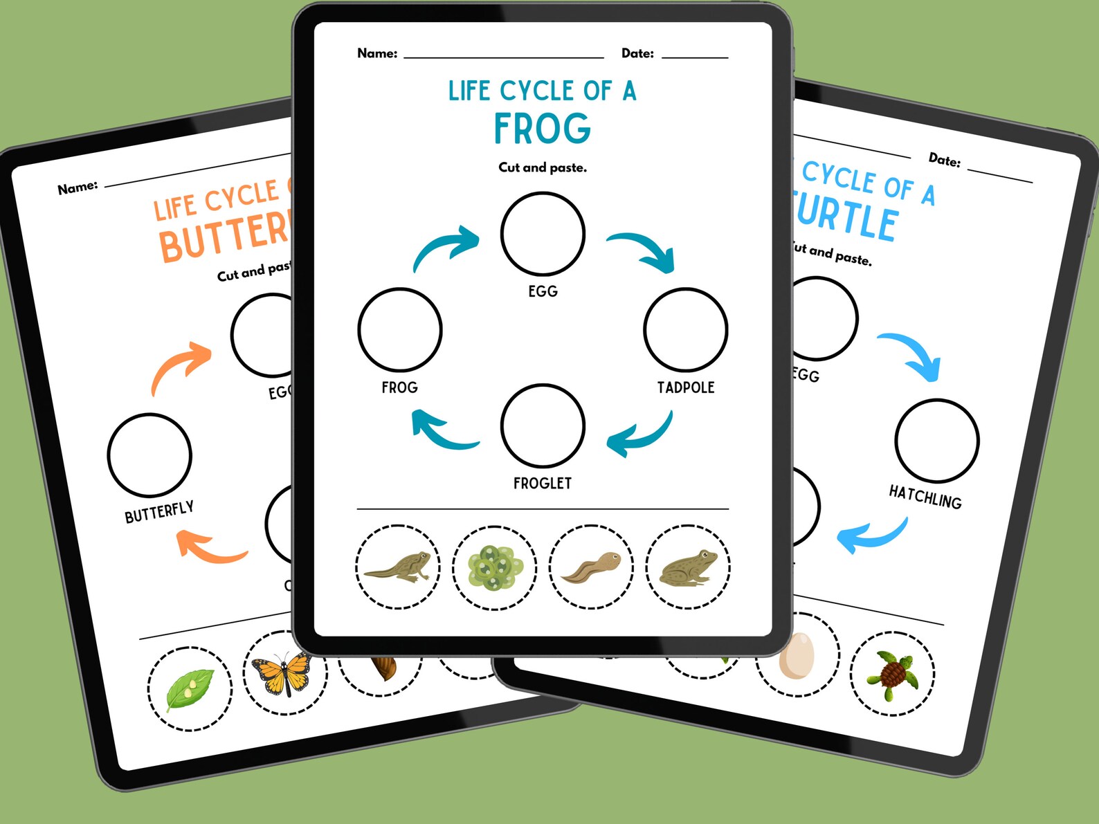 Science Worksheets for Kindergarten,science Worksheets for Primary and ...