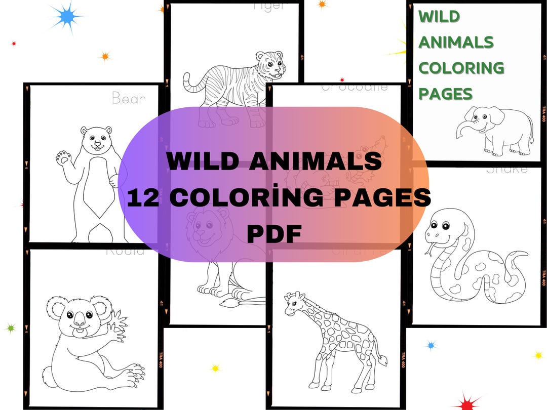 Wild Animals Coloring Book: Kids' Activity Pages (digital Download) - Etsy