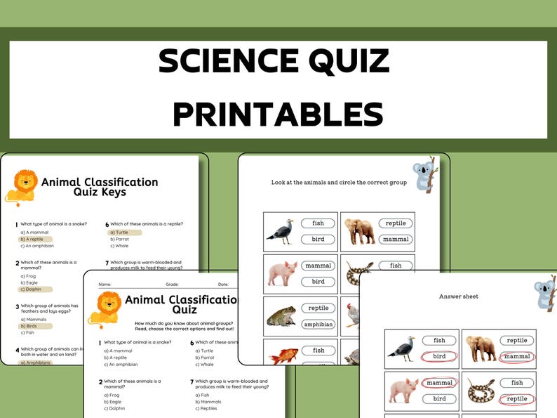 Science Worksheets for Kindergarten, Science Worksheets for Primary and ...