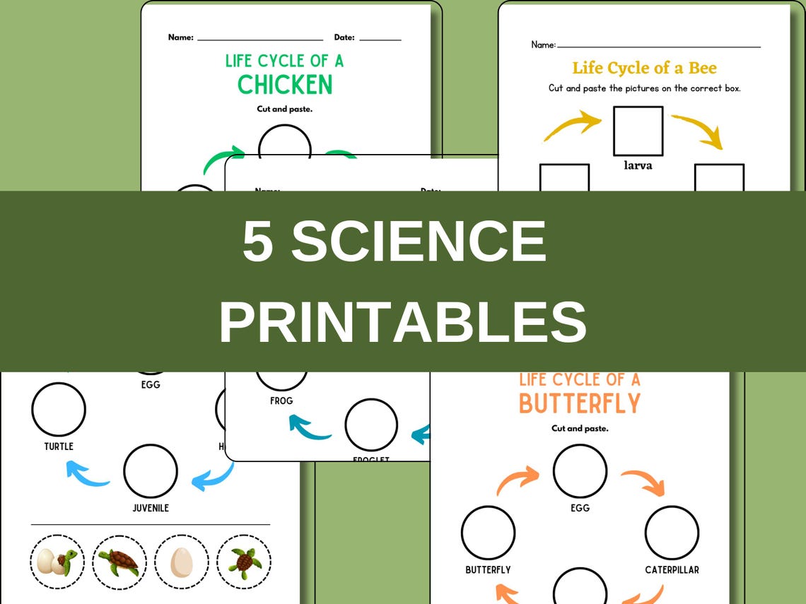 Science Worksheets for Kindergarten,science Worksheets for Primary and ...
