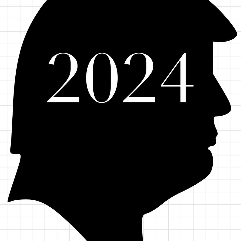 Trump Decals - Etsy