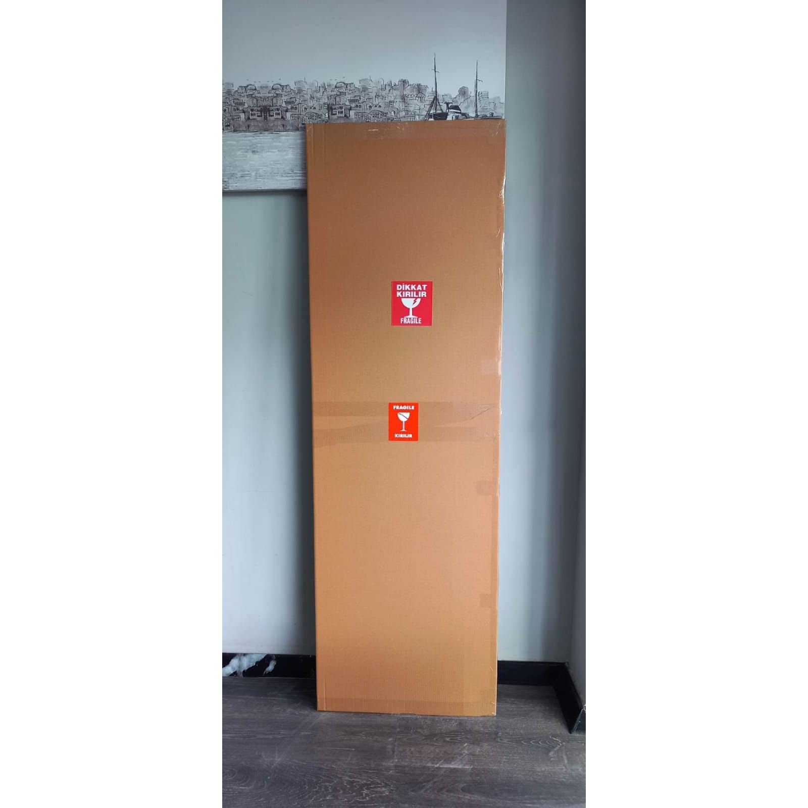 Carlos Sainz Jr. Cutout Plastic Model, Custom Cutout, Carlos Sainz Jr ...