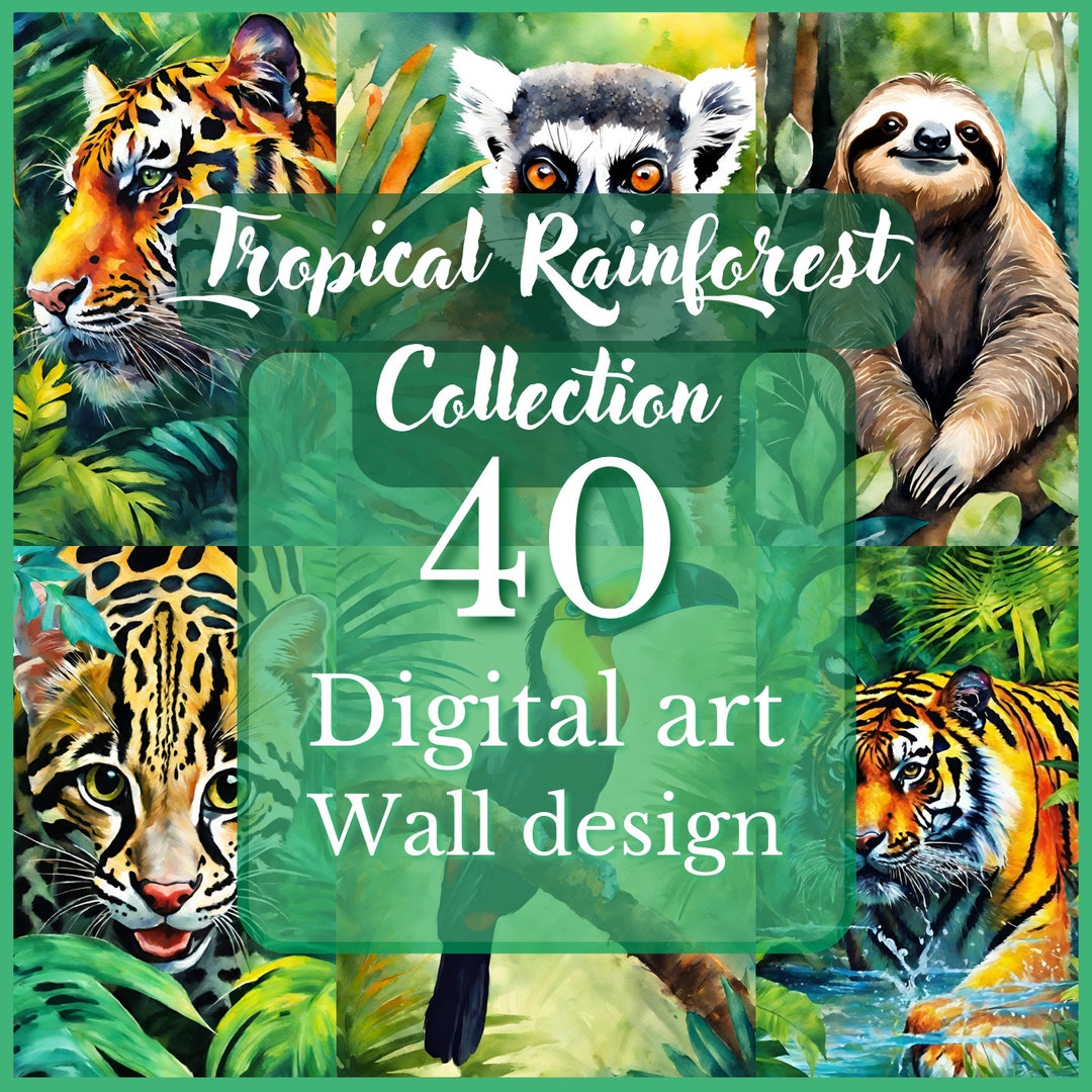 Tropical Rainforest Animals Collection/digital Art. 40 High-quality PNG ...