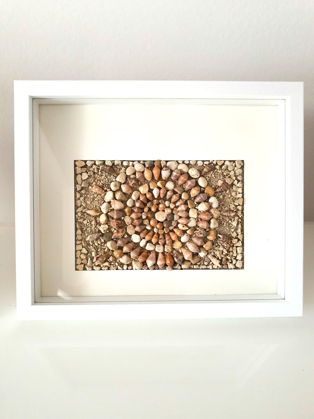 Framed Shells Art Painting, Seashell Framed Art, Coastal Decor Beach ...