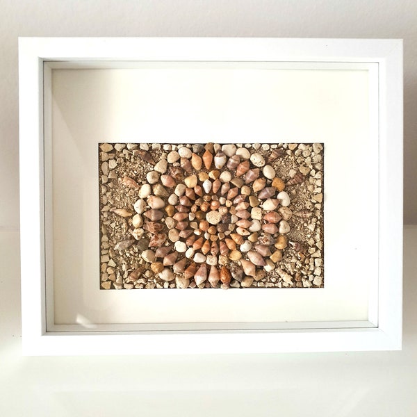 Framed Shell Art - Etsy