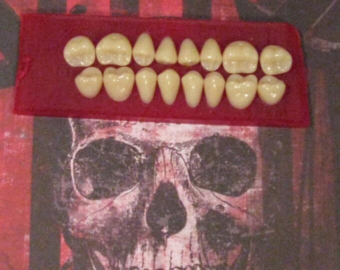 16 Individual Fake Dental Teeth - Etsy