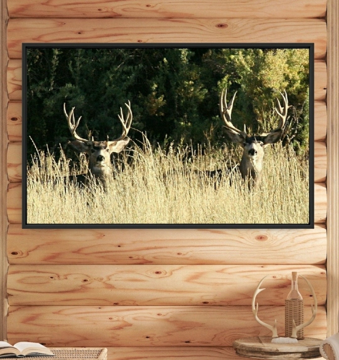 Autumn Warriors - Etsy