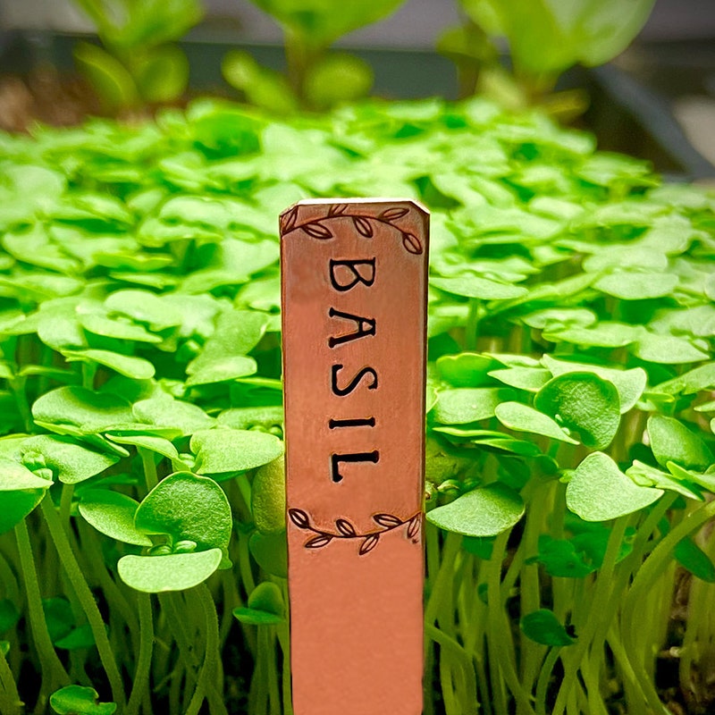 PangaeaDesigns - Etsy