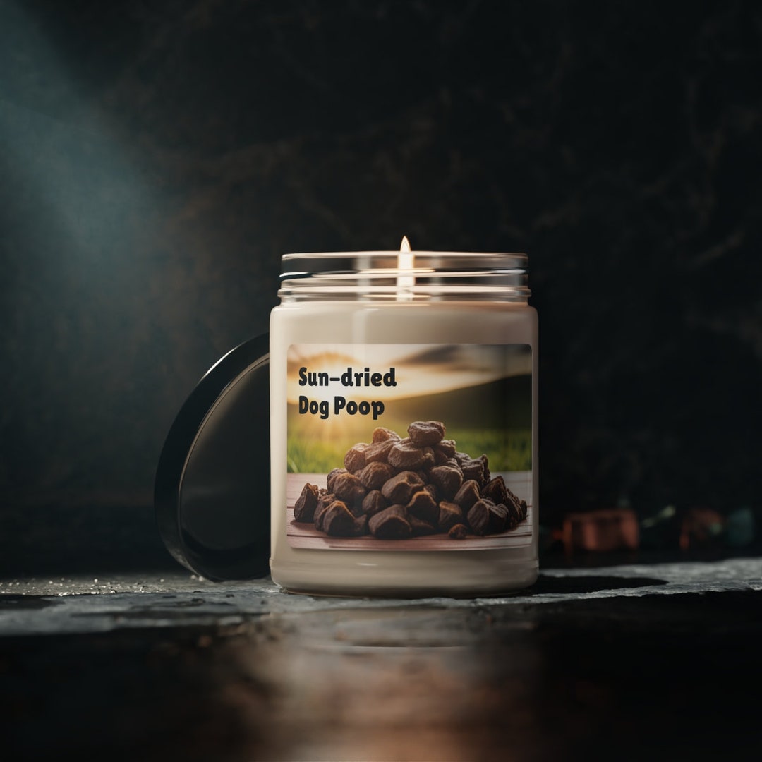 Sun-dried Dog Poop, Pick Your Scent Soy Candle, 9oz - Etsy