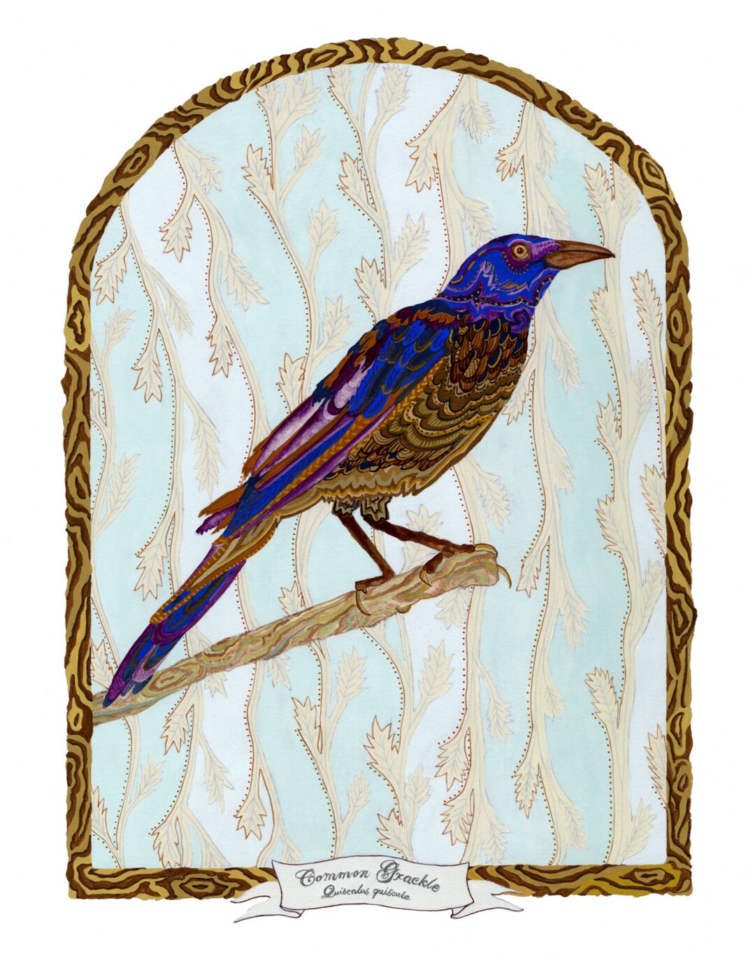 Common Grackle. Illustration. Bird Painting. Print - Etsy