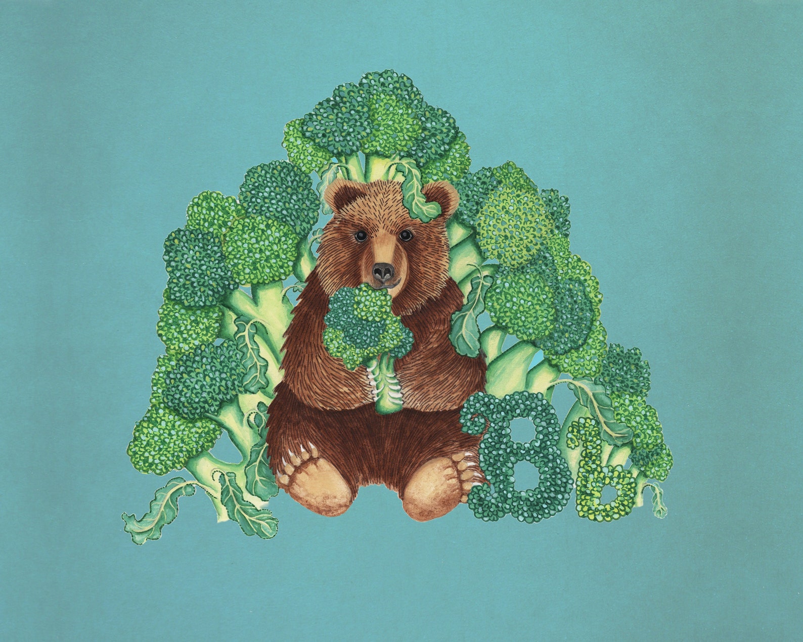 Bear Eating Broccoli. Children Alphabet Book Illustration. - Etsy