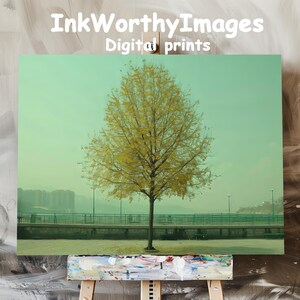 Digital Art Bundle Romantic Silhouettes Enchanted Forest Solitary Trees ...