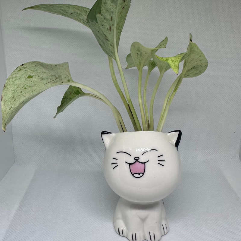 Cat Flower Pot - Etsy