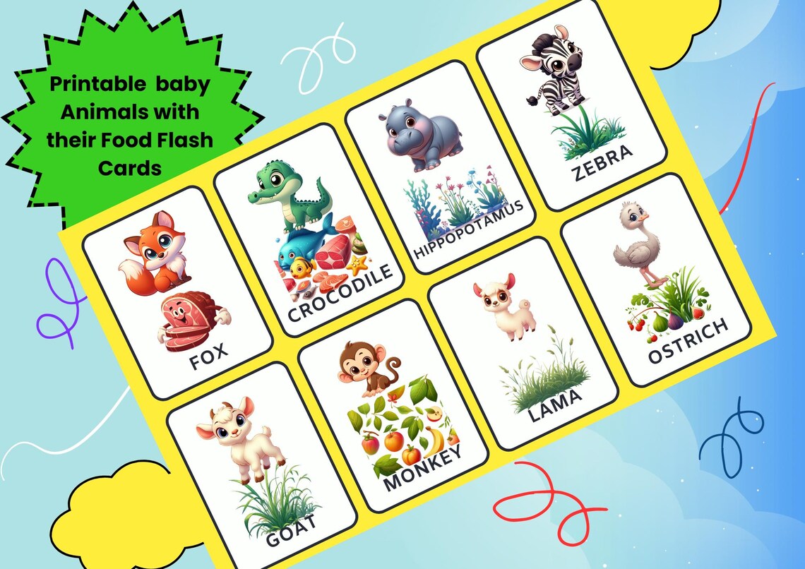 24 Baby Animal Flash Cards With Their Food - Etsy