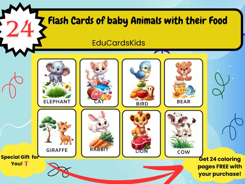 24 Baby Animal Flash Cards With Their Food - Etsy