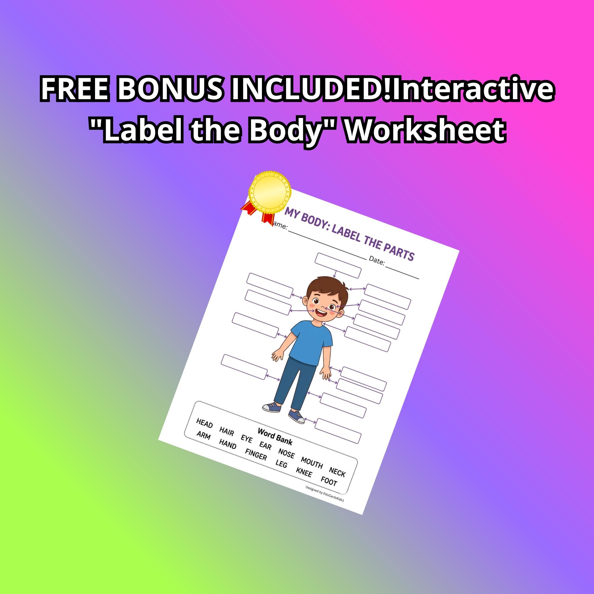 Montessori Human Body Parts 3-part Cards • Anatomy Flashcards for Kids ...