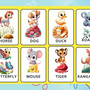 24 Baby Animal Flash Cards With Their Food - Etsy