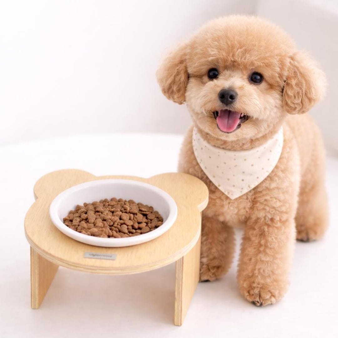 Pet Feeding Base | Trays With Ceramic Bowl for Food Water - Etsy