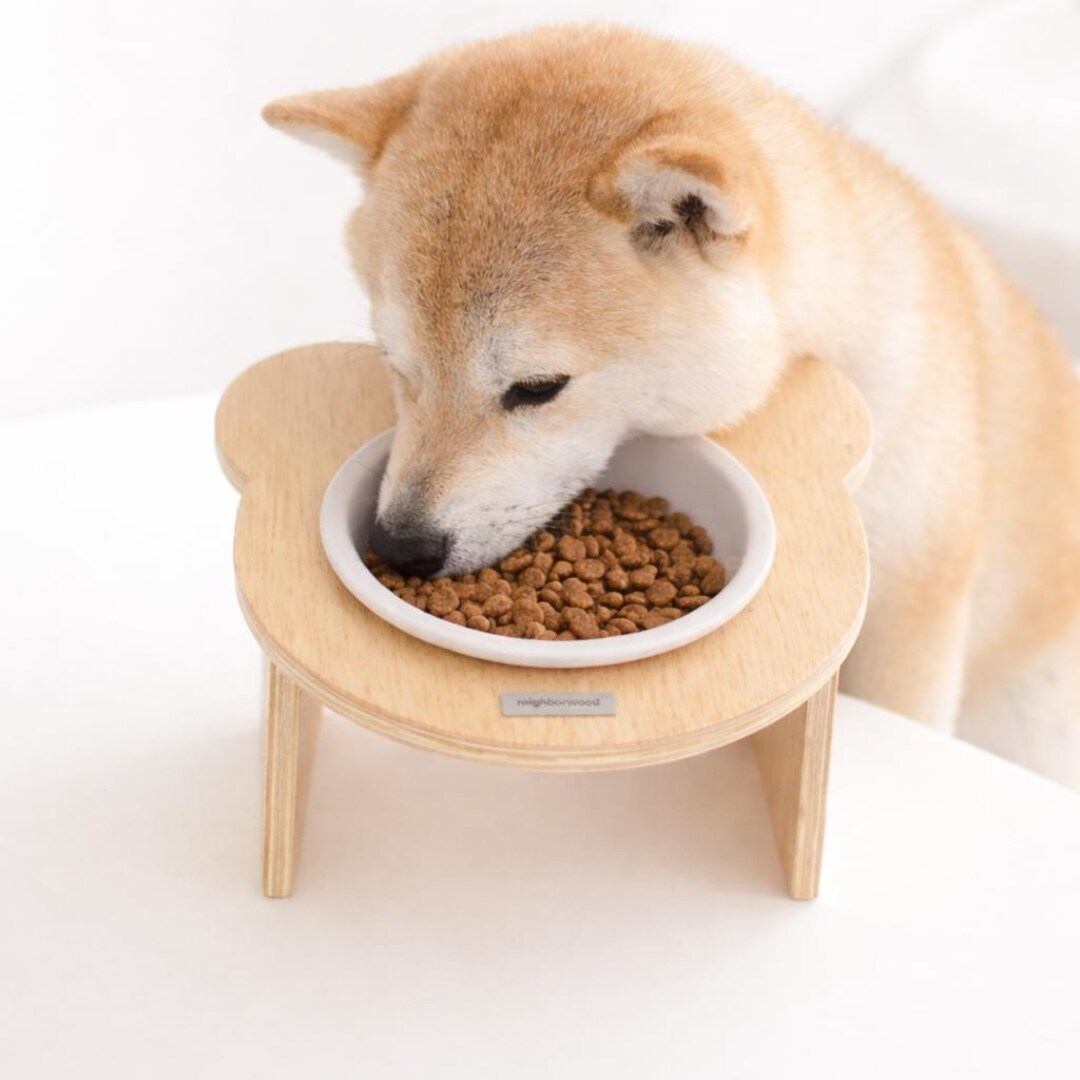 Modern Raised Dog Bowl Stand, Pet Feeder for Puppies, Small Dogs and ...