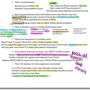 Advanced Pathophysiology MSN FNP Exam Notes All Exams - Etsy