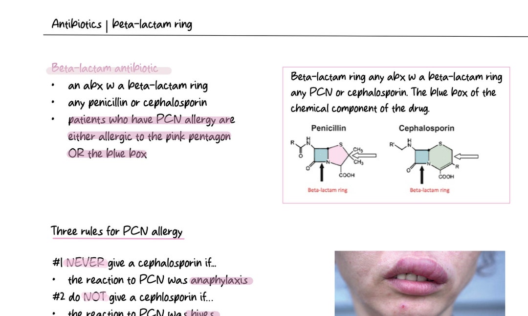 Antibiotic APEA Exit Exam-fnp Board Review - Etsy