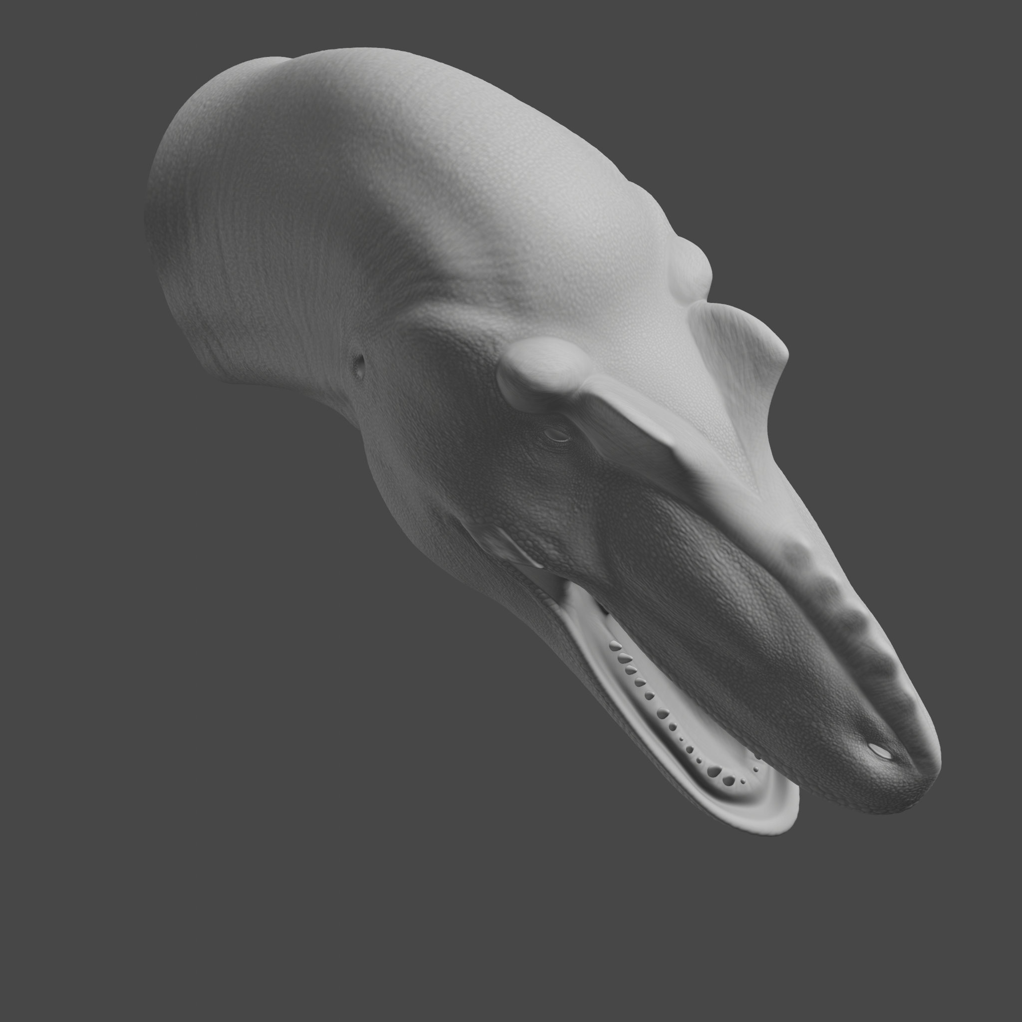 Gorgosaurus Bust Dinosaur for 3d Printing - Etsy