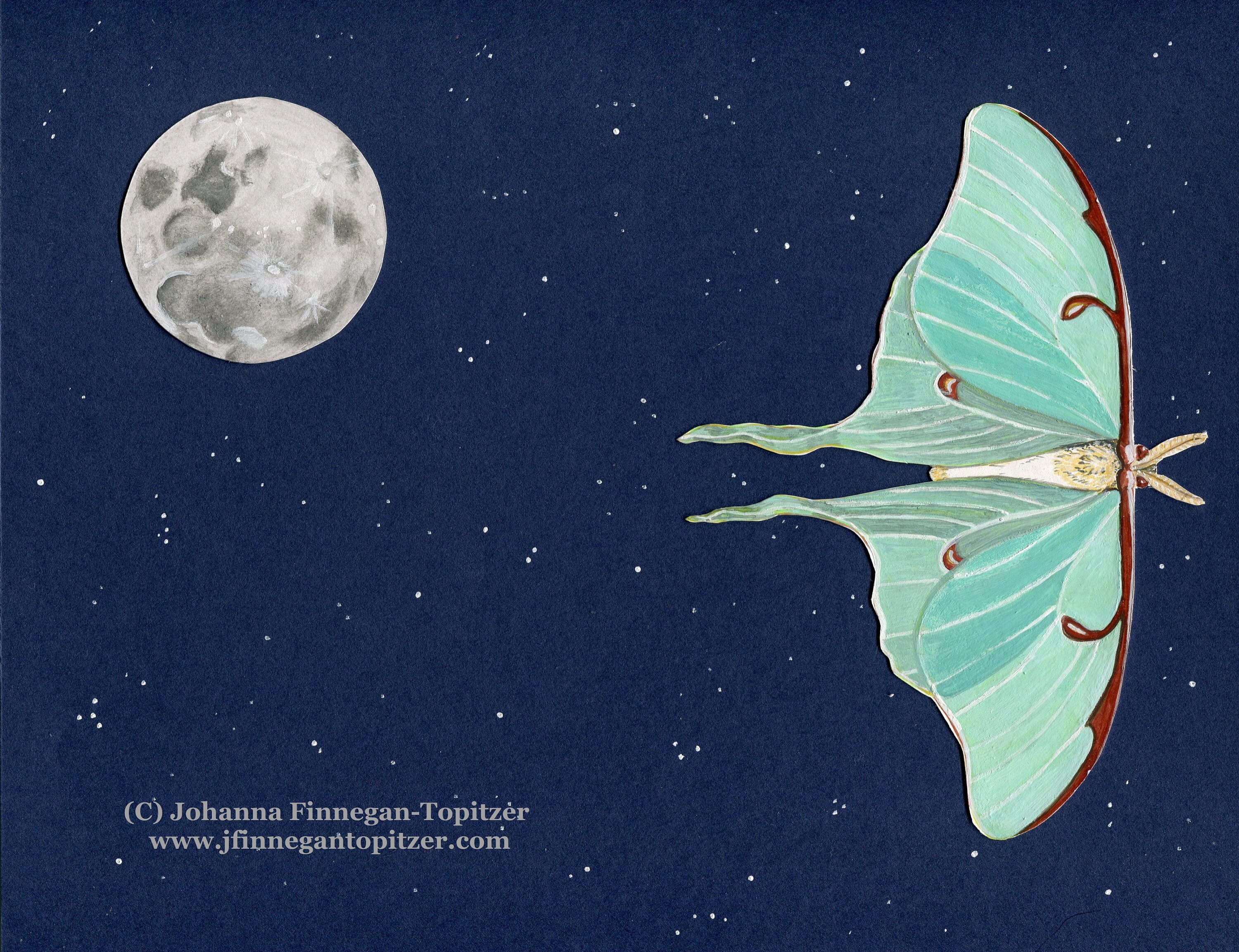 Luna Moth Greeting Card, Birthday Card, Friendship Card, Blank Card ...