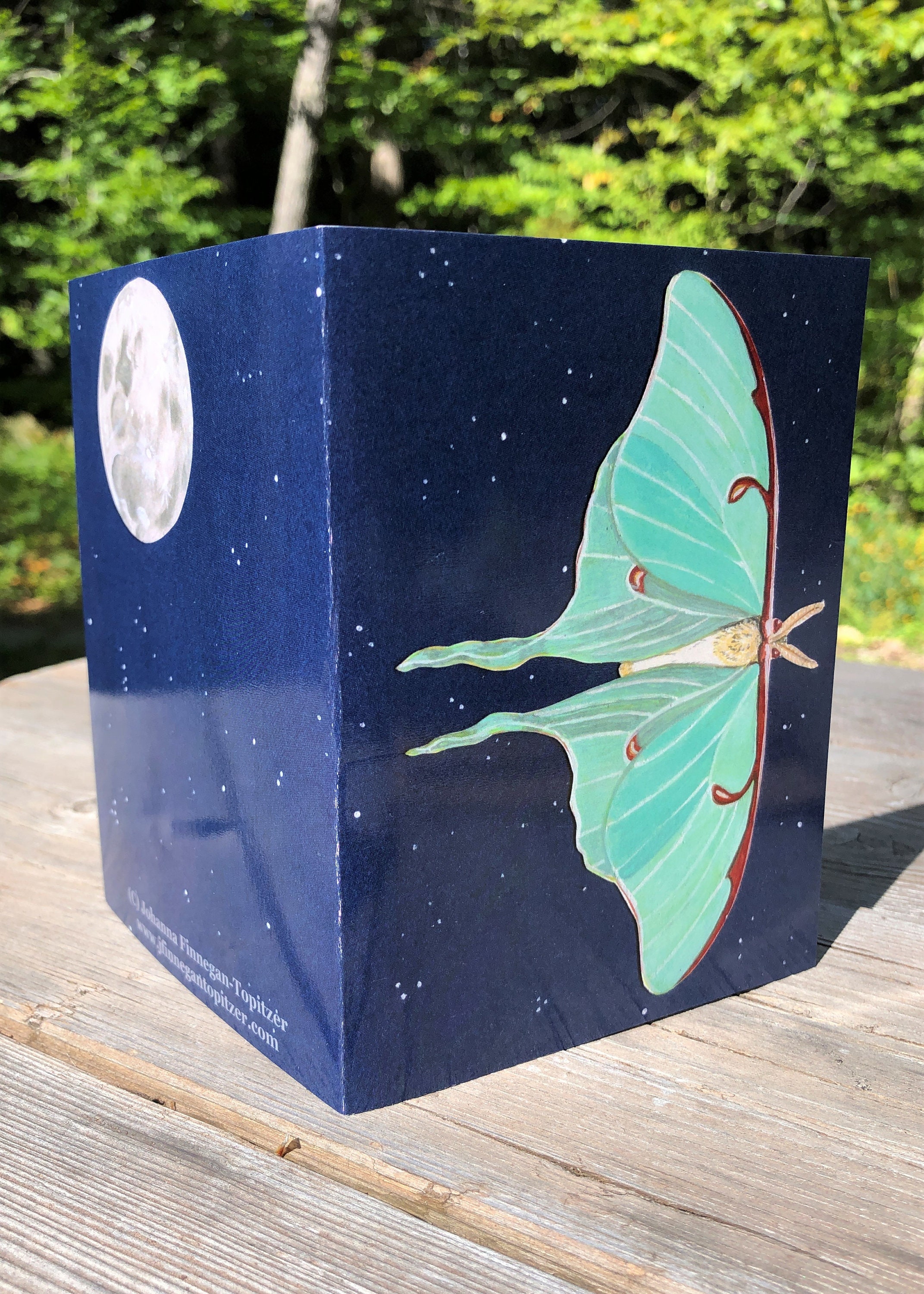 Luna Moth Greeting Card, Birthday Card, Friendship Card, Blank Card ...