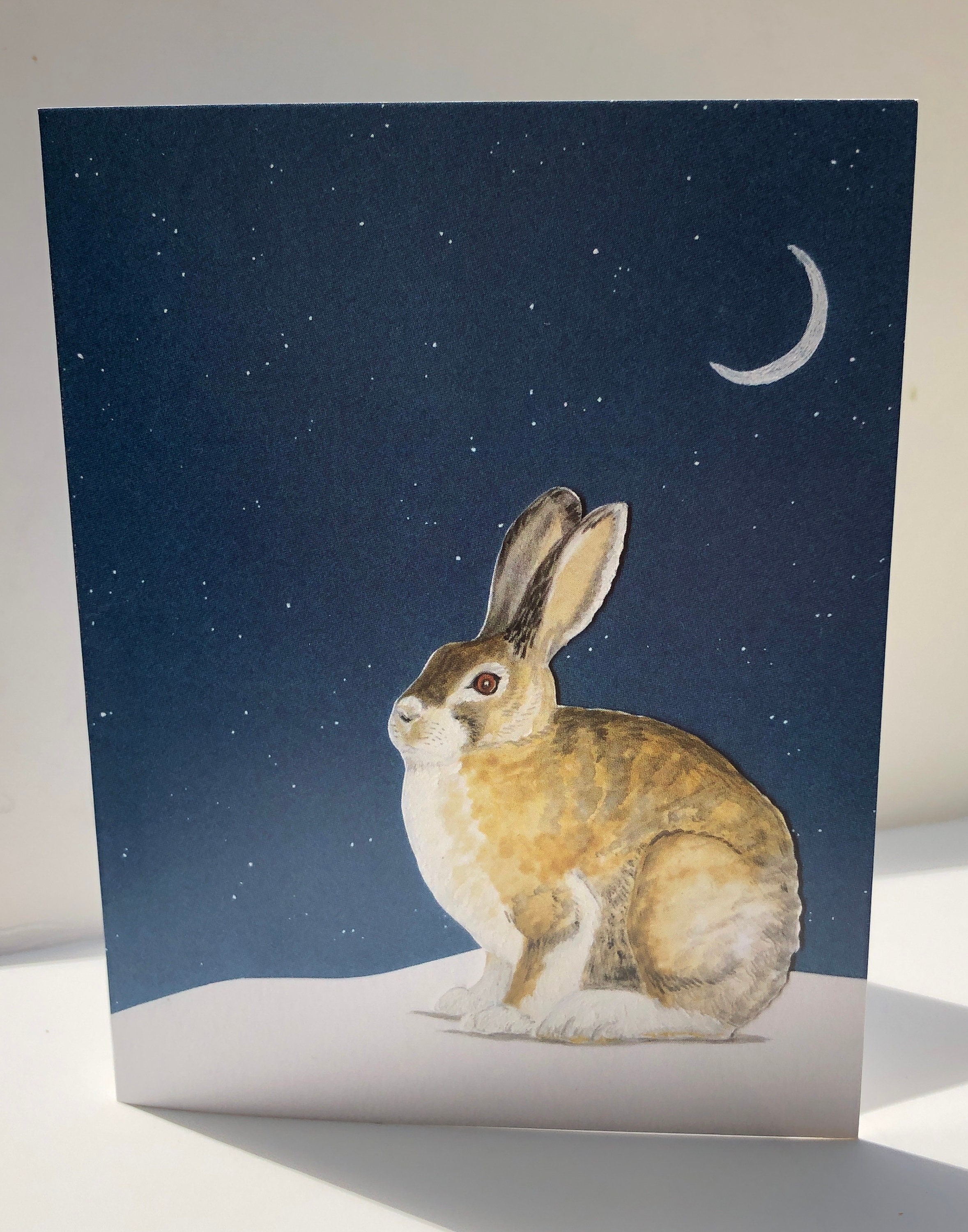 Snowshoe Hare Greeting Card, Birthday Card, Friendship Card, Blank Card ...