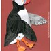 Puffins, Articulated Figure Kit, Articulated Bird, Paper Doll, DIY ...