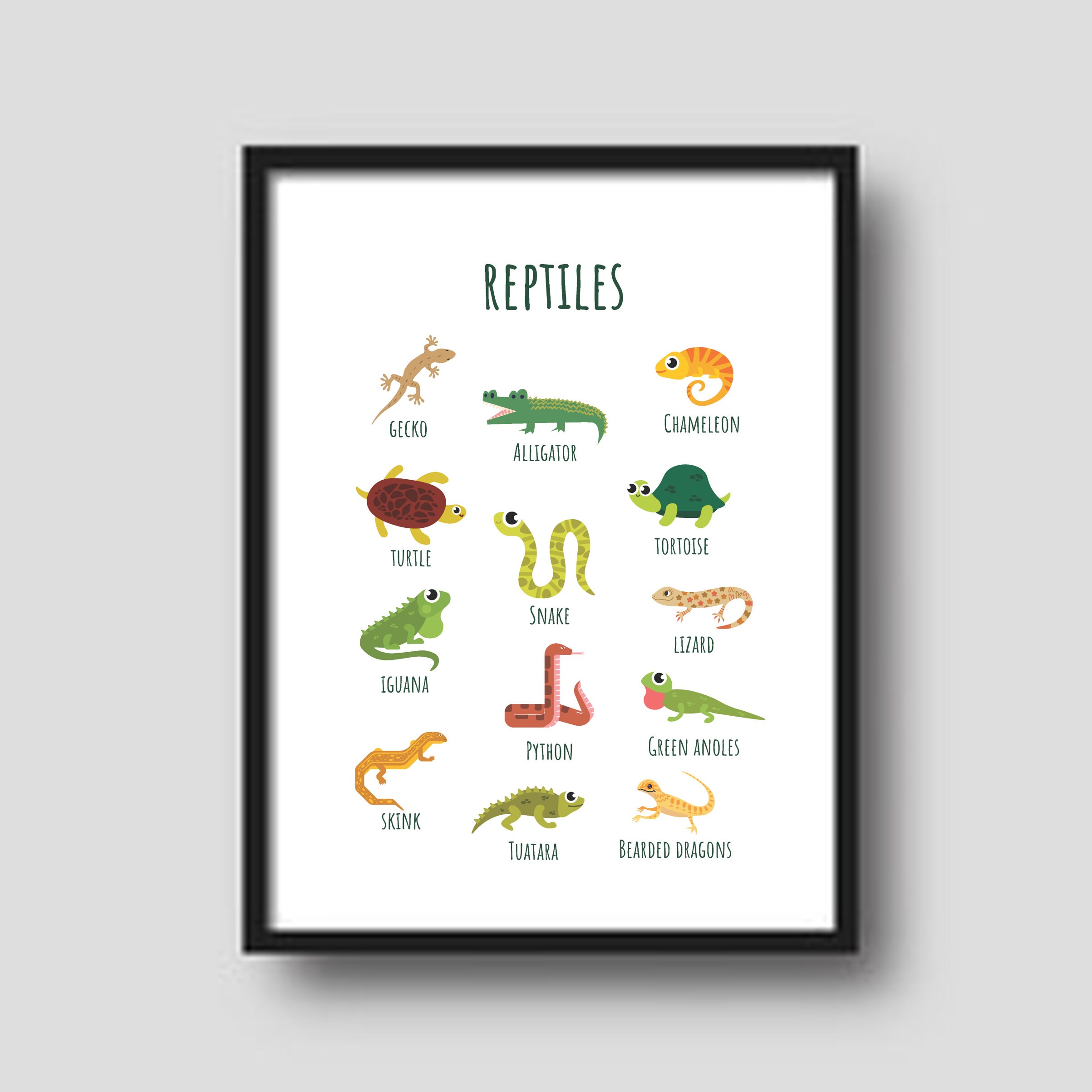 Cute, Printable Reptiles Educational and Decorative Poster/wall Art for ...