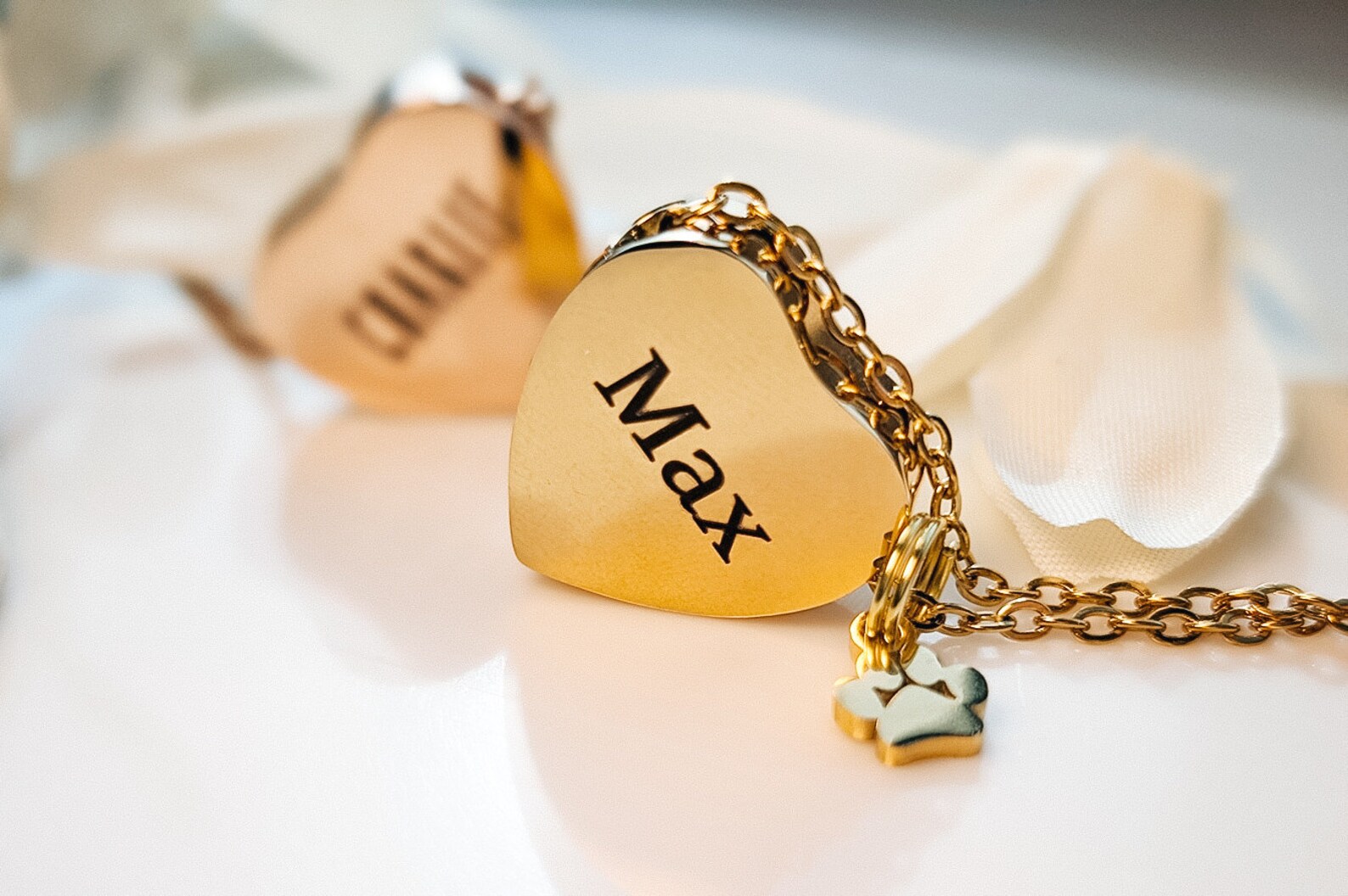 Heart Shape Animal Ashes Jewelry Pendant Necklace Memory Jewelry Gift ...