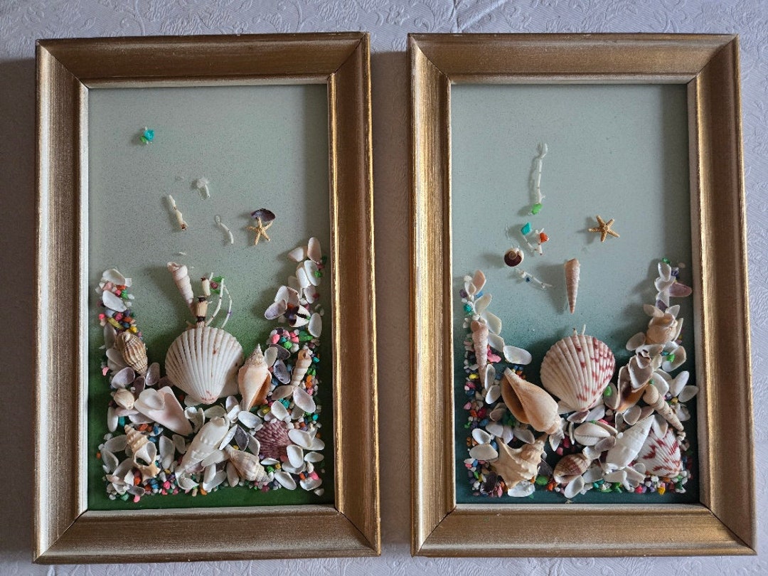 REAL SEA SHELL Vintage Wall Art Set of 2 Framed - Etsy