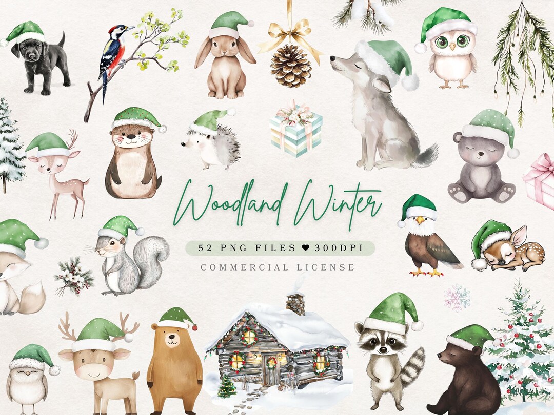Winter Woodland Clipart Watercolor Woodland Animal Clipart | Cute ...