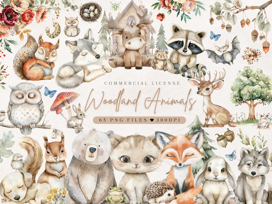 Cute Woodland Clipart Woodland Animals | Boho Woodland Watercolor ...