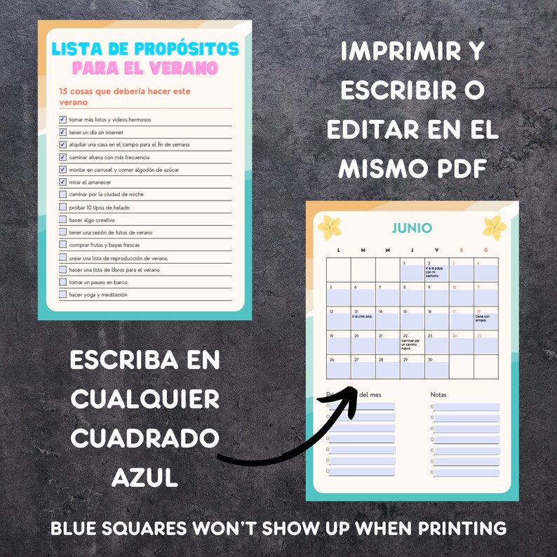 Editable Printable 2024 Summer Planner Spanish, Summer Calendar, Summer ...