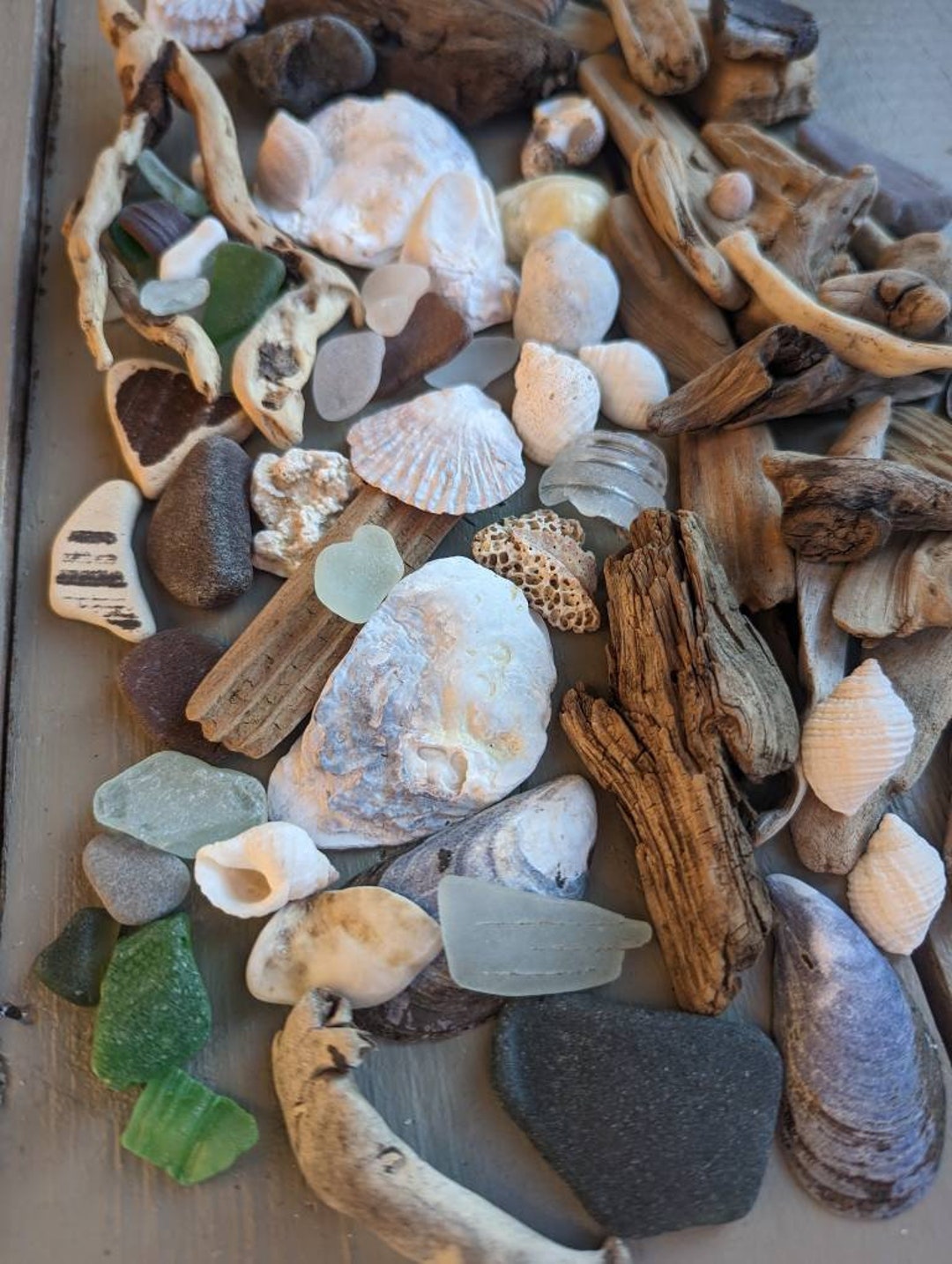 Beachy Coastal Collection of Driftwood Sea Glass Shells and - Etsy