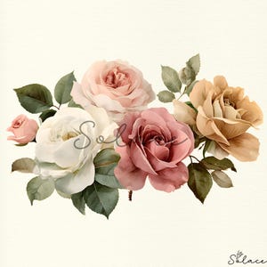 Dusty Rose Png Clipart, Rustic Roses, Vintage Watercolor Flowers ...
