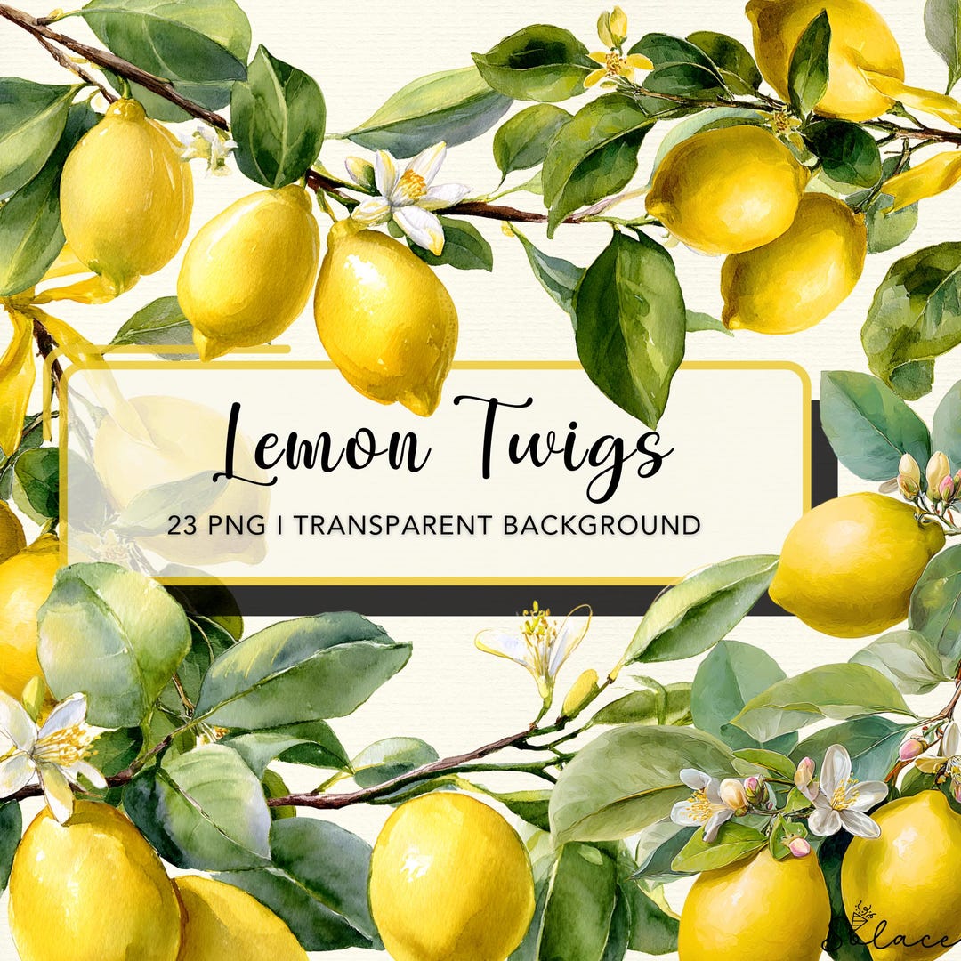 Lemon Flower Clipart, Citrus Fruit Art, Watercolor Flower Png, Summer ...