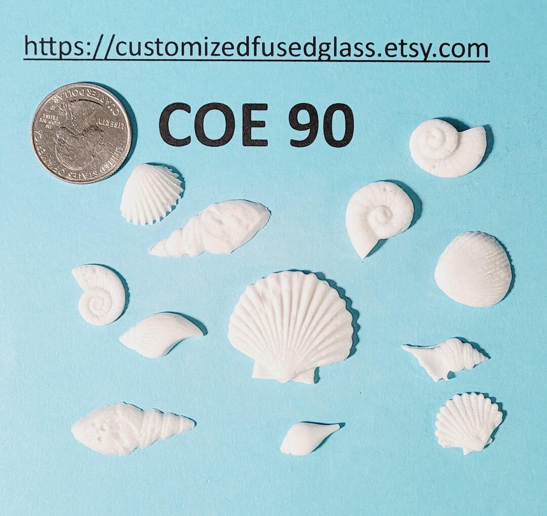 COE 90 Shells / 12 Pieces / Freeze and Fuse Glass - Etsy