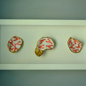 Lobster Oyster Shell Trio - Etsy