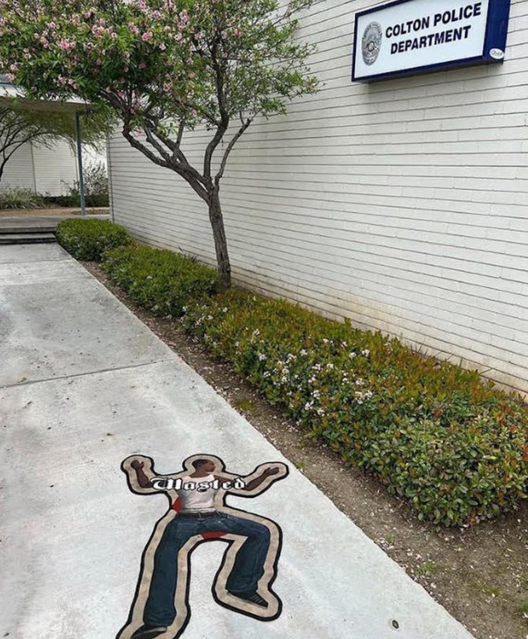 Grand Theft Auto Printed Rug, CJ Wasted Rug, Pop Culture Rug, Funny ...