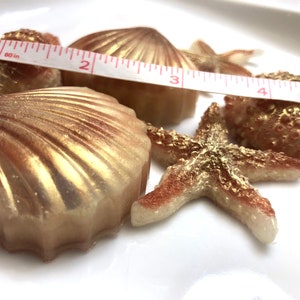 Sea Shell Soap Set - Beach House Mini Soaps - Coastal Decor, Custom ...