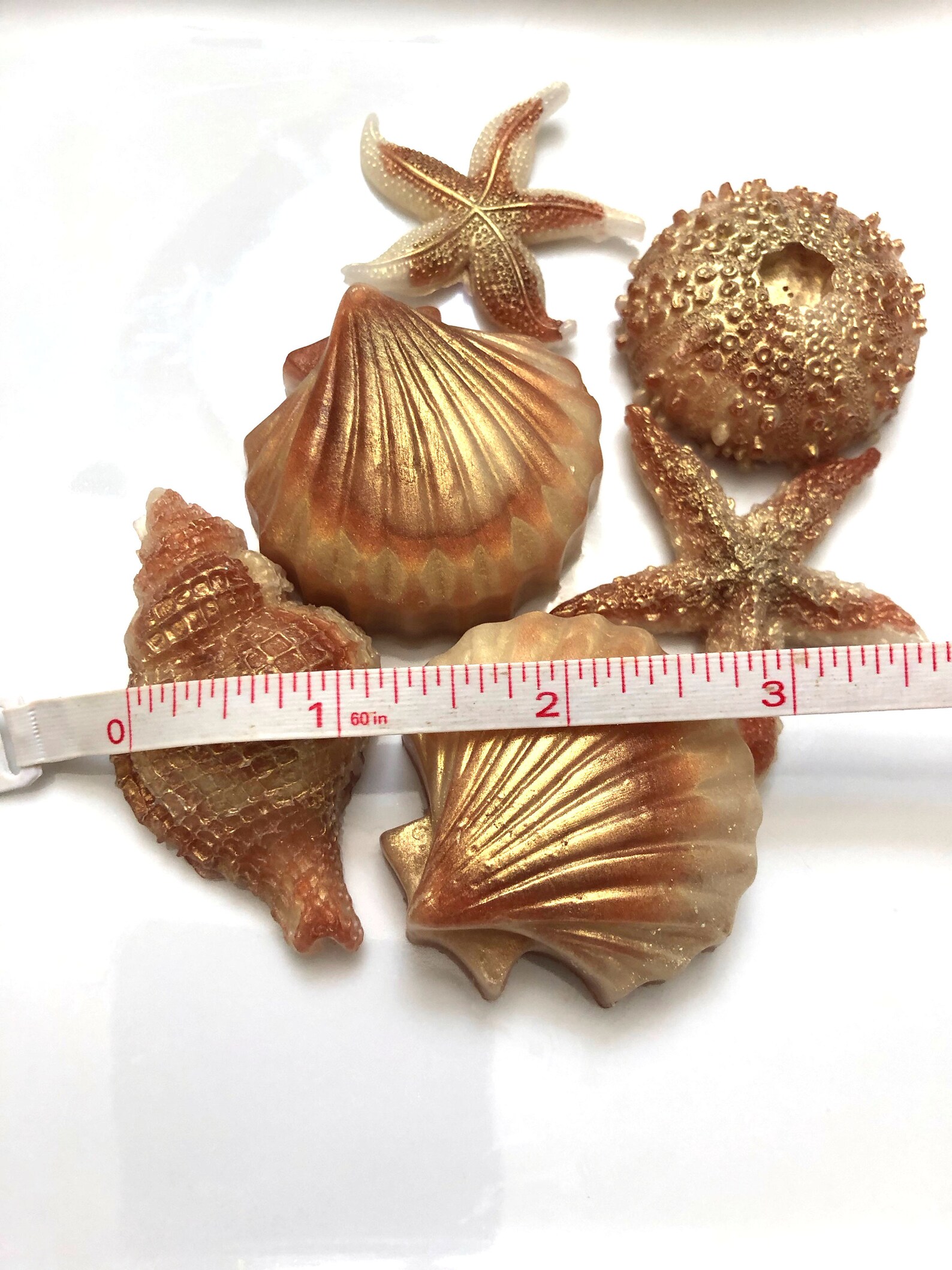Sea Shell Soap Set - Beach House Mini Soaps - Coastal Decor, Custom ...
