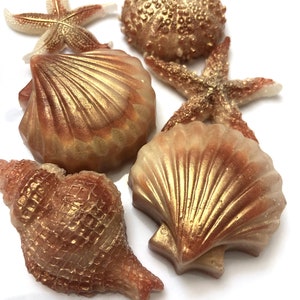 Sea Shell Soap Set - Beach House Mini Soaps - Coastal Decor, Custom ...
