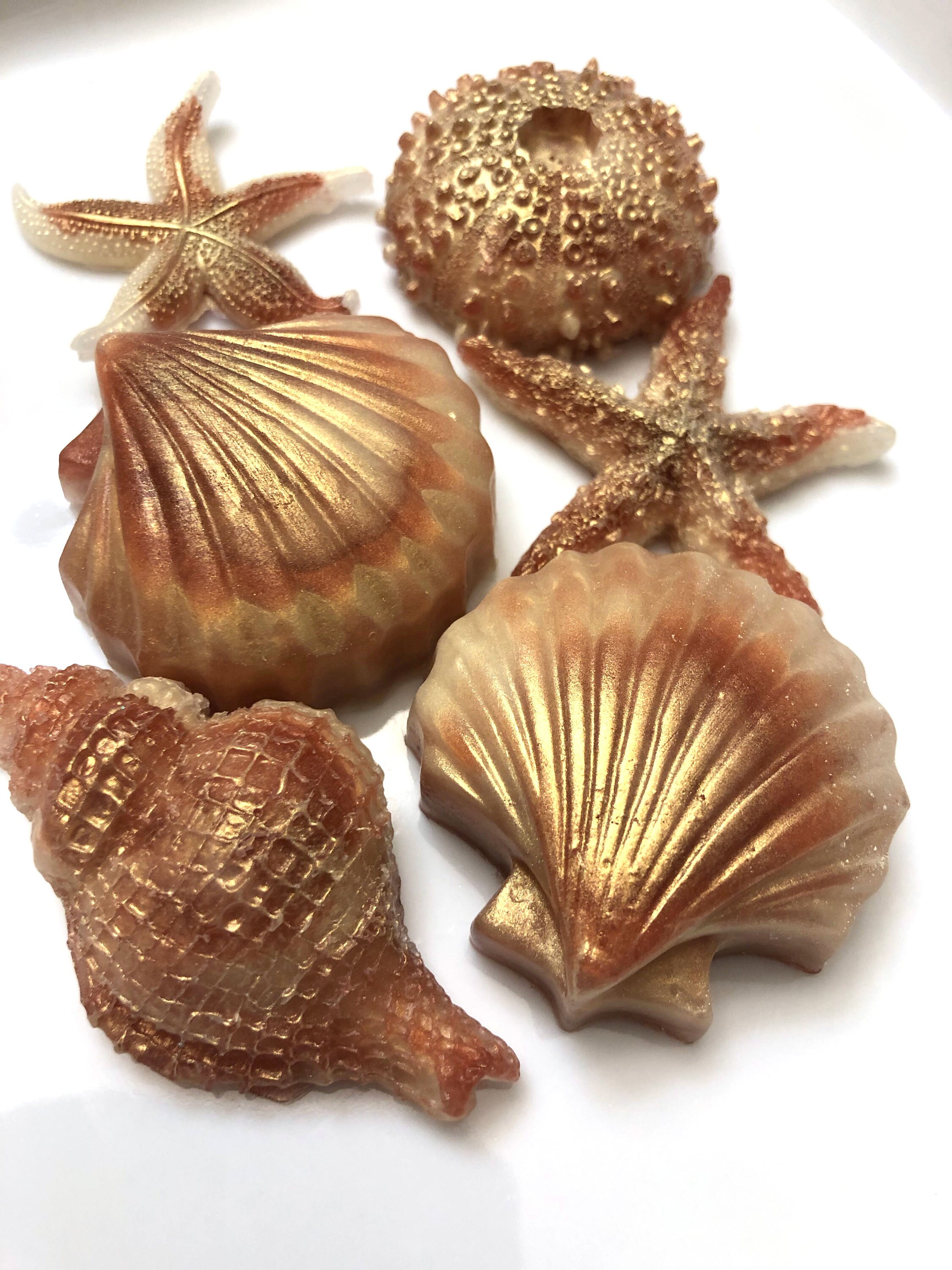 Sea Shell Soap Set - Beach House Mini Soaps - Coastal Decor, Custom ...